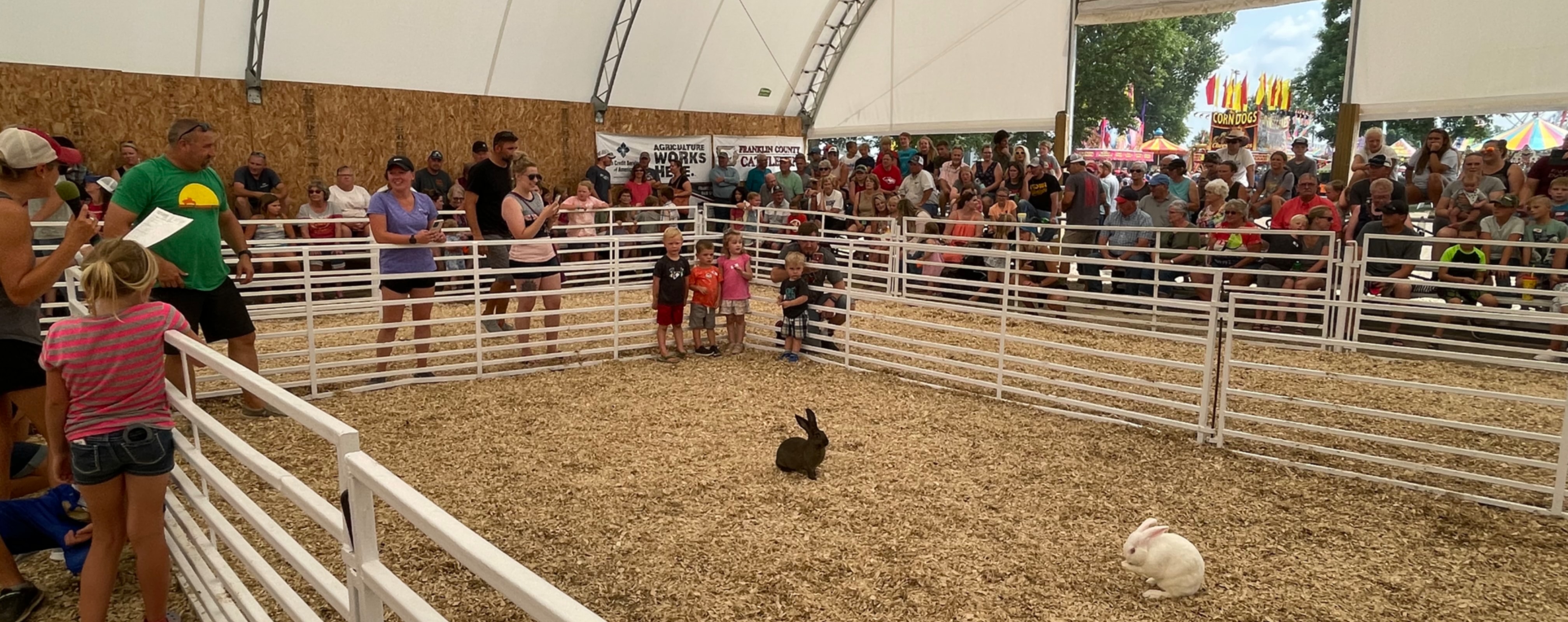 Livestock | On Grounds | The Franklin County Fair